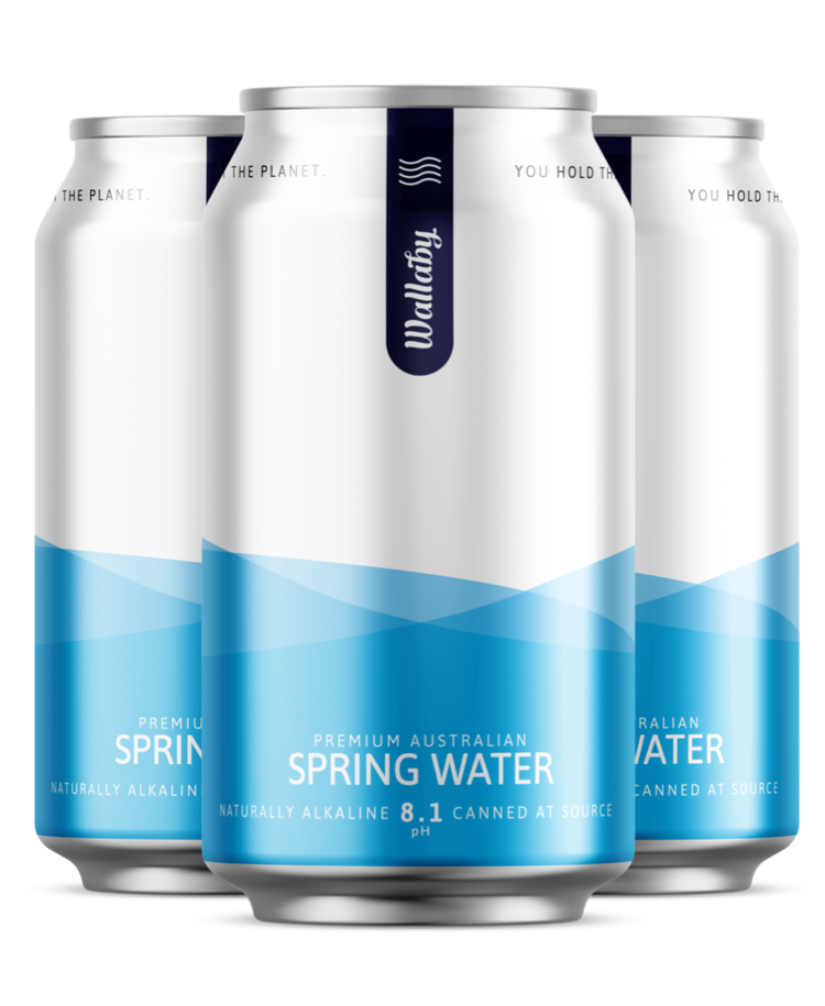 NATURALLY ALKALINE Wallaby Spring WATER Cans 24 x 375ml – Southern ...